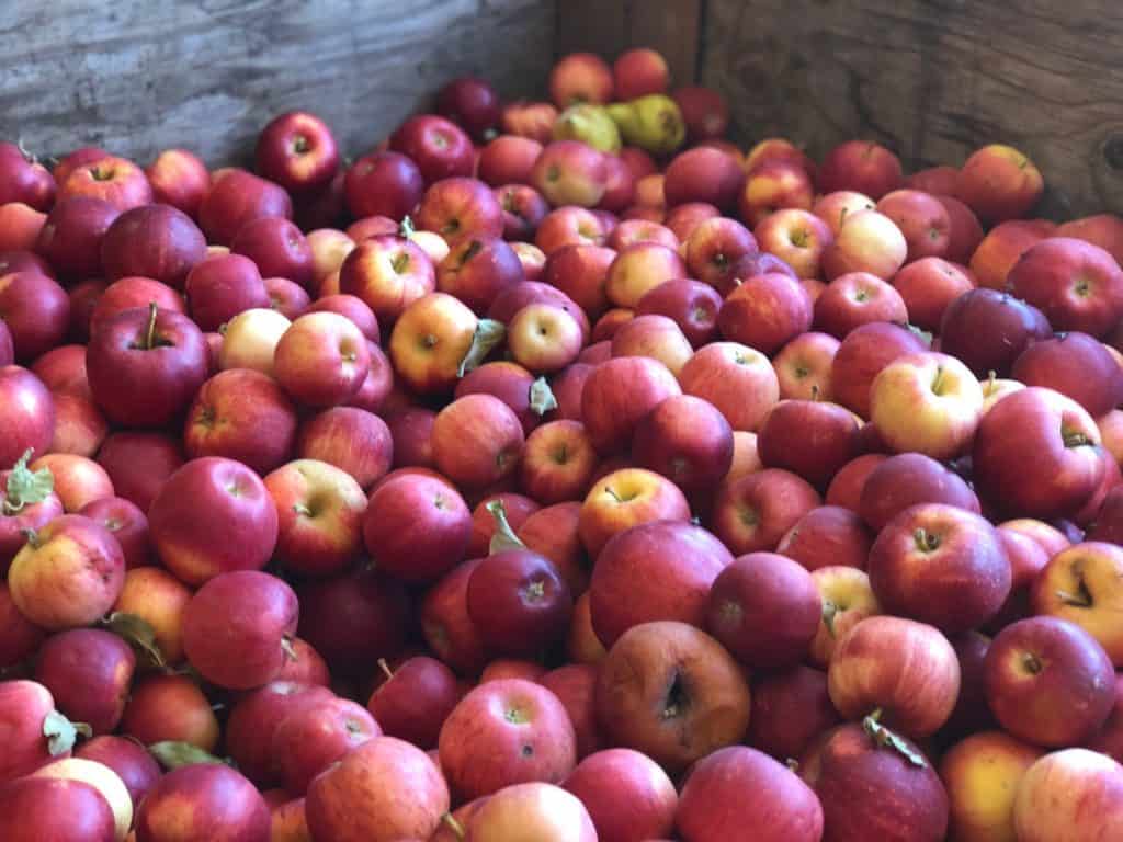 Happy Apple Farm | The Marble Kitchen