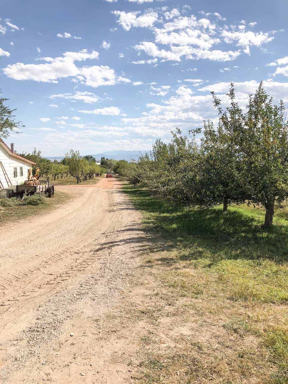 Happy Apple Farm | The Marble Kitchen
